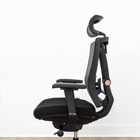 Peak Ergonomic Chair